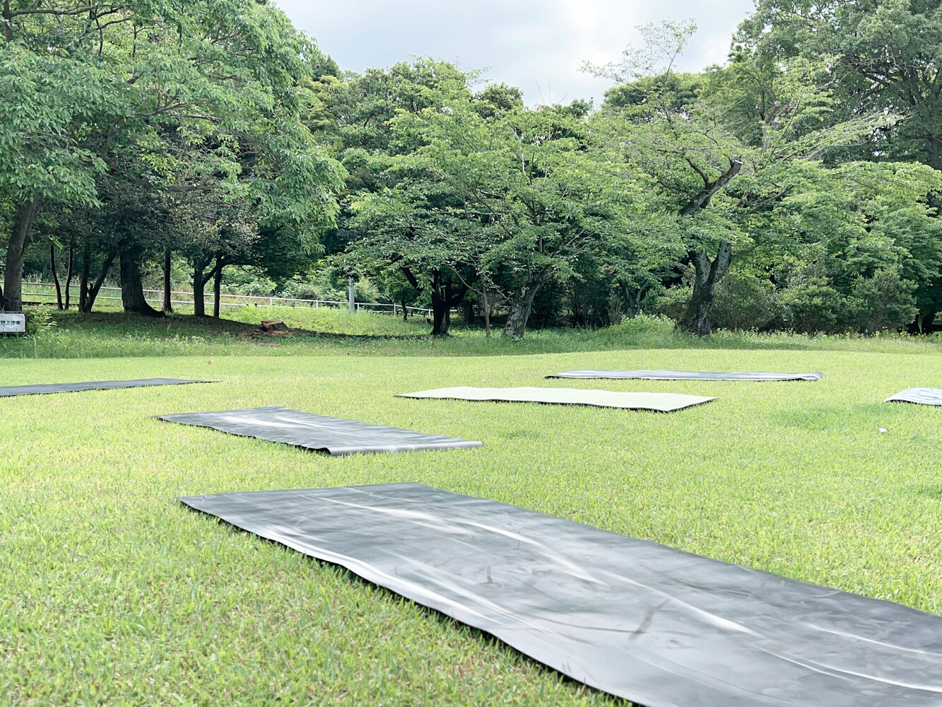 Asami yogaの予約サービス | Coubic