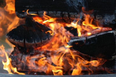 Rising Fire, LLC | Coubic