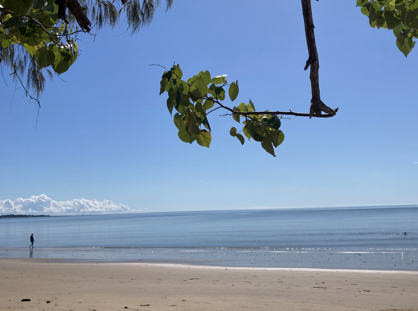 Studio Tokiwa | Coubic