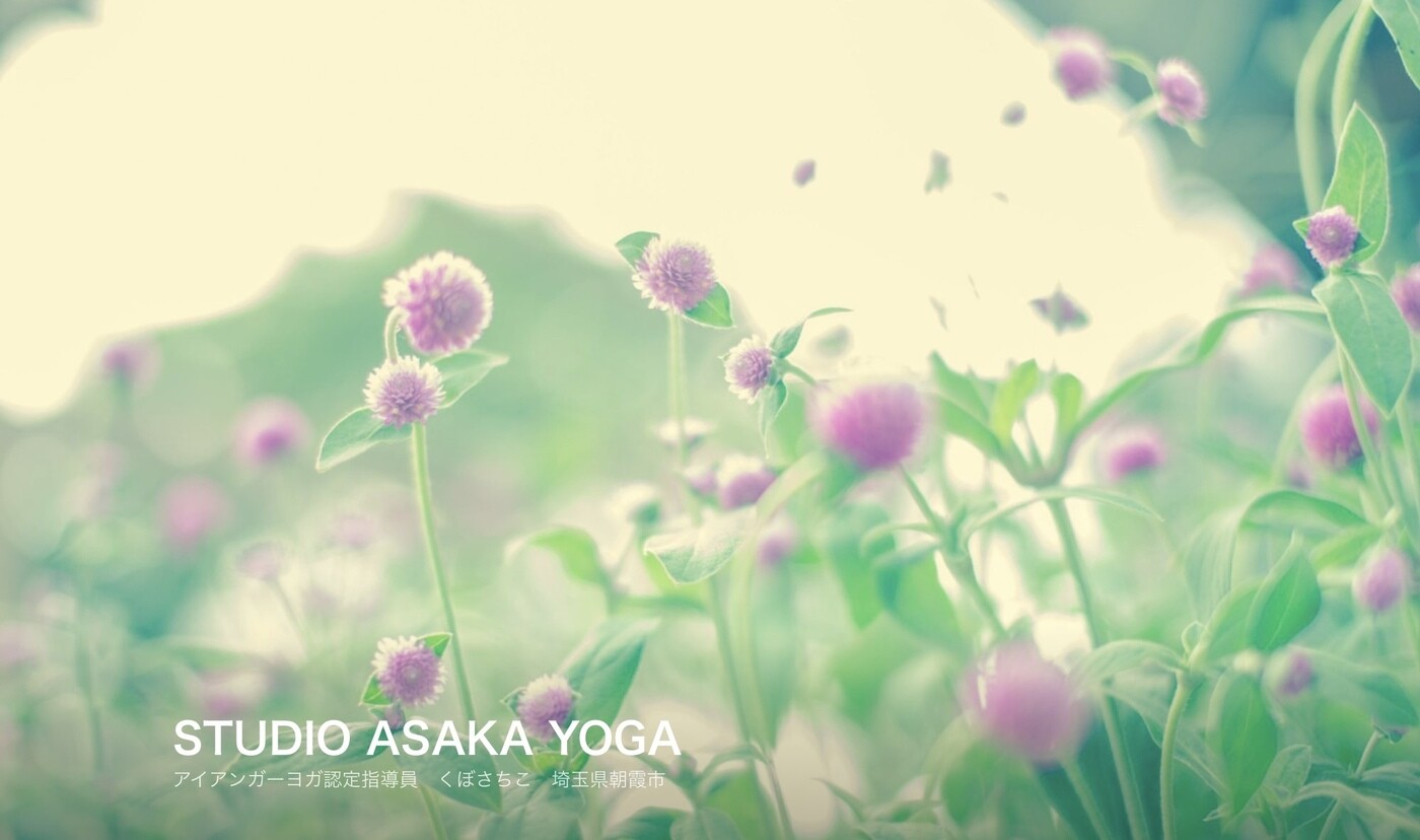 studioasakayoga | Coubic