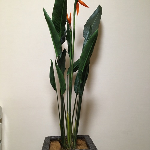 JFEエンジリフレッシュルーム | Coubic