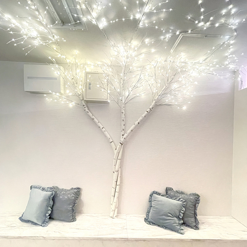 三郷市初！ヨガ・ピラティス・ボクササイズ女性専用スタジオー STUDIO Starry ー | Coubic